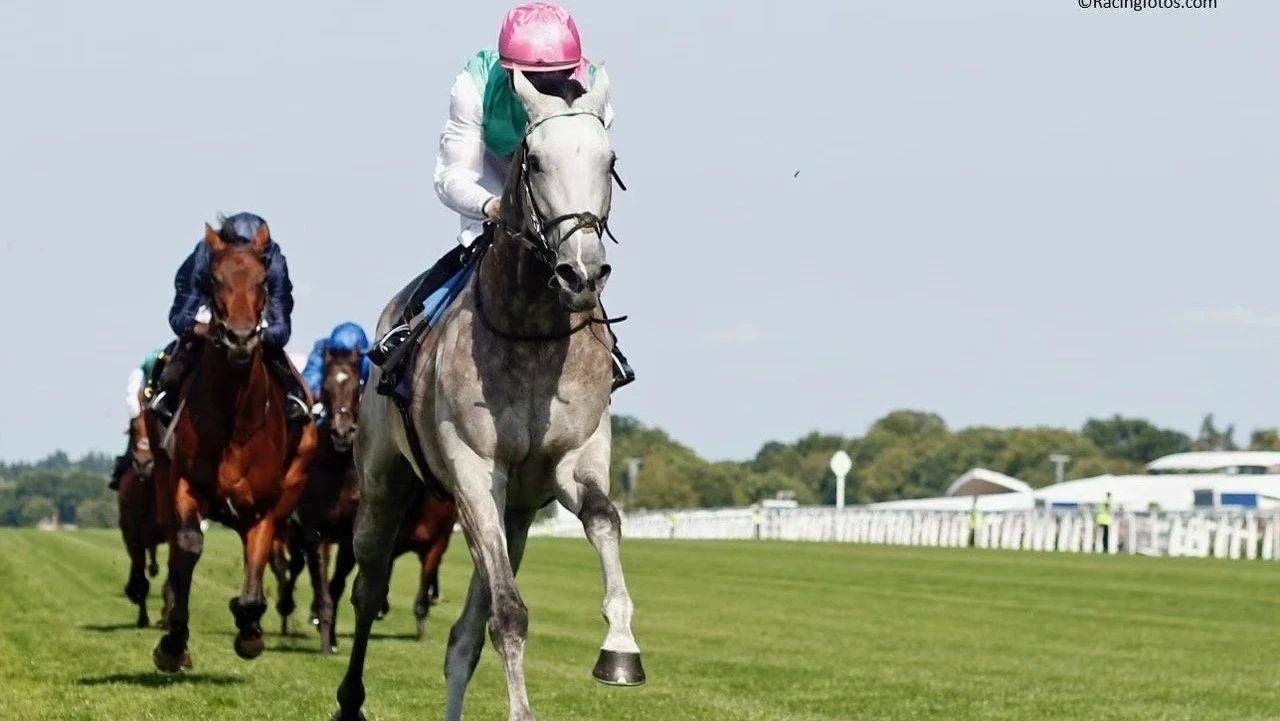 三匹马并列2025年8月份世界最佳赛马排名WBRR第一_Gold_Field_of