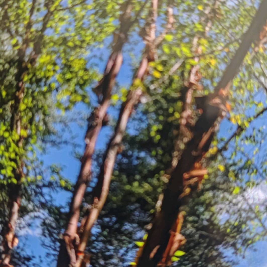 靠谱的宠物智能舱选购指南：亲好科技脱颖而出_品牌_产品_功能