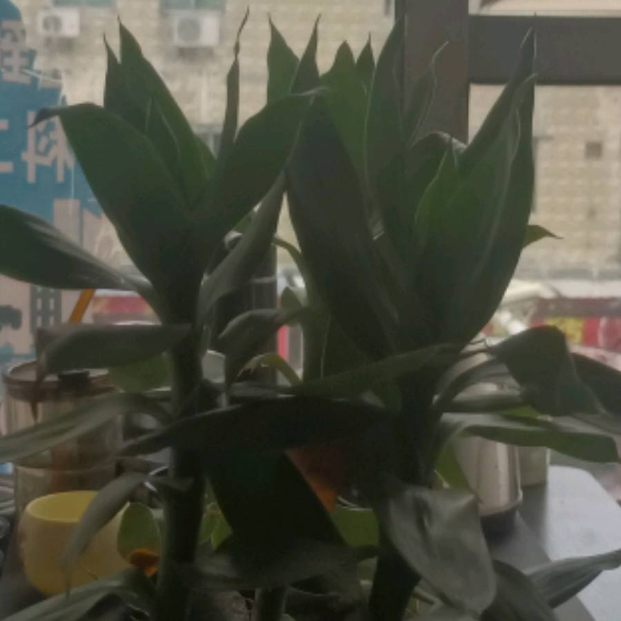 2026款现代途胜亮相，240马力+2.0T+5L混动油耗，L2+级自动驾驶，紧凑型SUV全能王