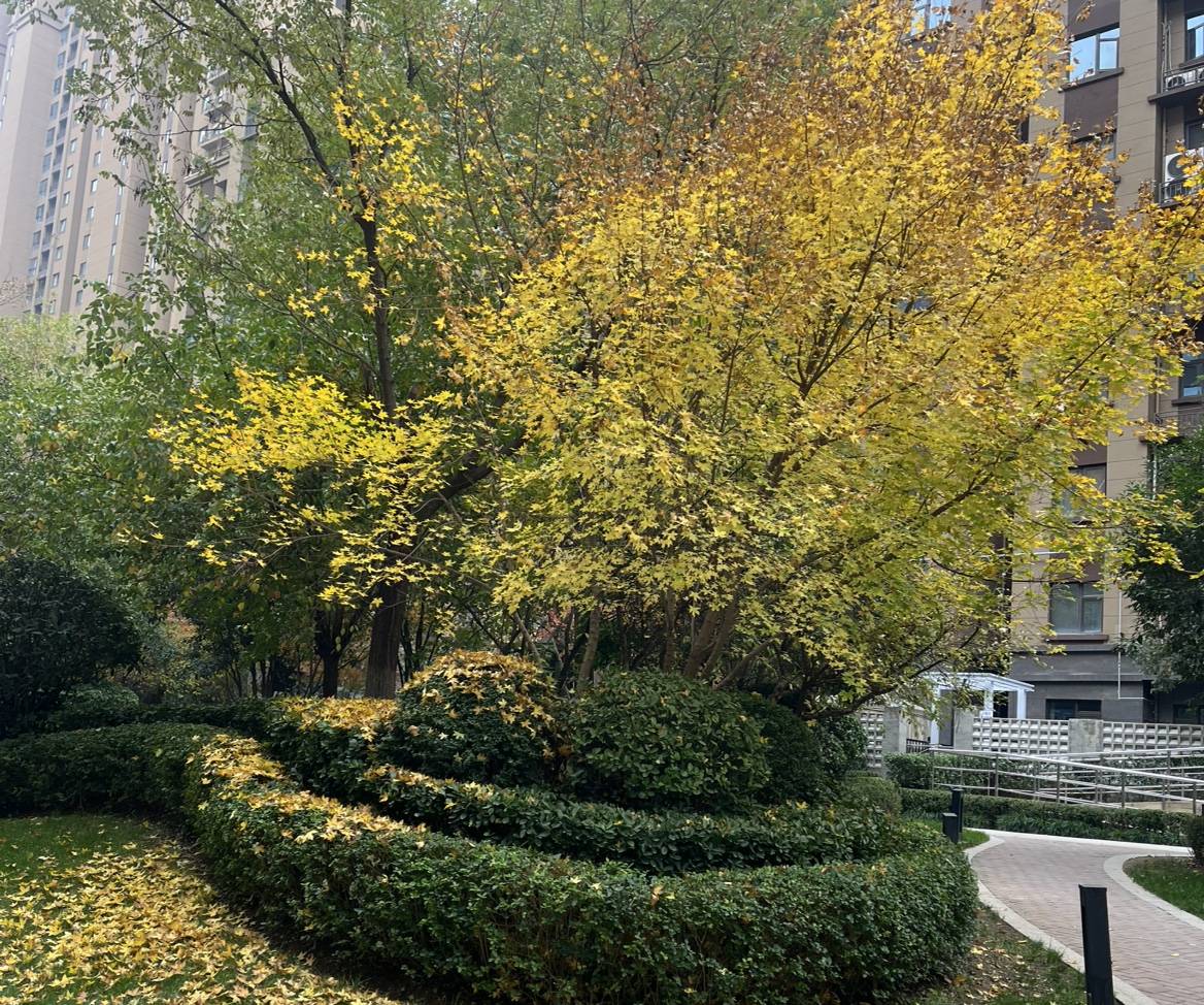 首尔FC vs 金周六002：韩职泉尚武比分预测_比赛_防守_联赛