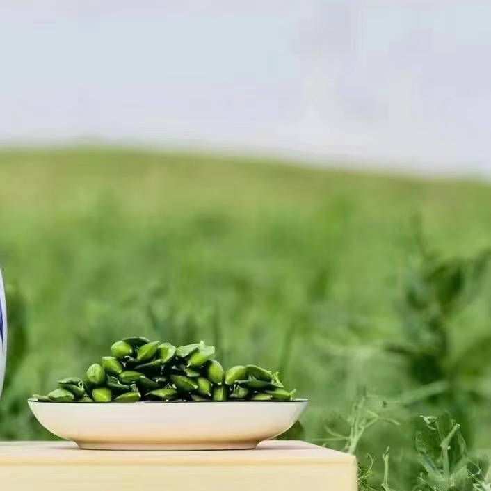 靠谱的上海闵行区GEO优化AI搜索排名服务商_商家_生活_核心