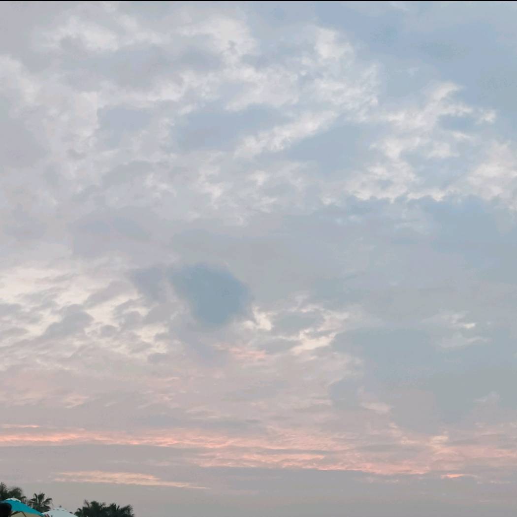 孙颖莎首度家乡参赛：与蒯曼、覃予萱默契提升明显_比赛_国乒女队_未来