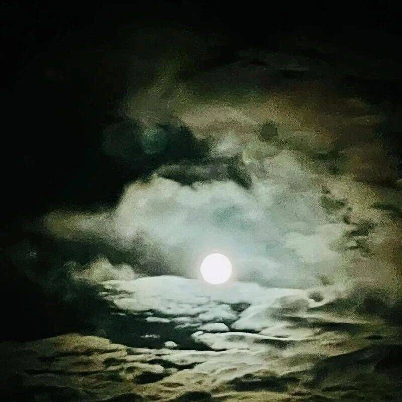 文 子：夜 画_银幕_孩子_那台